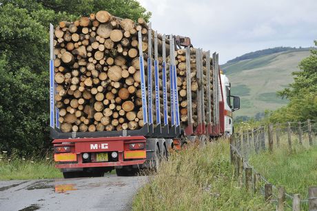Load Cut Logs Being Transported By Editorial Stock Photo - Stock Image ...