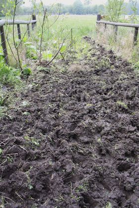 69 Damp meadows Stock Pictures, Editorial Images and Stock Photos ...