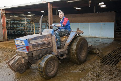 49 Cleaning cows Stock Pictures, Editorial Images and Stock Photos ...