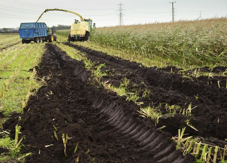 21 Mud trailer Stock Pictures, Editorial Images and Stock Photos ...