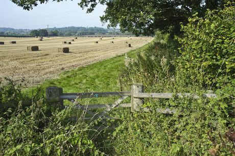 Wooden Gate Leading Conservation Farm Walk Editorial Stock Photo ...
