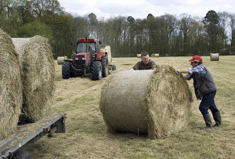 11 Loads of hay Stock Pictures, Editorial Images and Stock Photos ...
