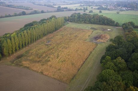 Aerial View Maize Game Cover Lombardy Editorial Stock Photo - Stock ...