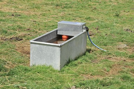 250 Water troughs Stock Pictures, Editorial Images and Stock Photos ...