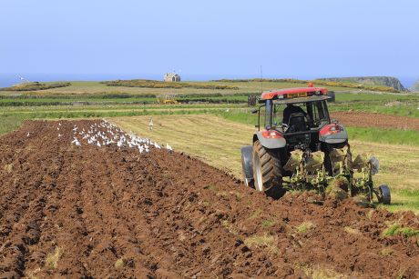 51 Gower farm Stock Pictures, Editorial Images and Stock Photos ...