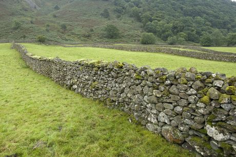 Drystone Walls Upland Pasture Rosthwaite Cumbria Editorial Stock Photo ...
