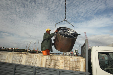 38 Loading fish Stock Pictures, Editorial Images and Stock Photos ...