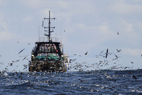 33 Commercial fishing trawler Stock Pictures, Editorial Images and ...