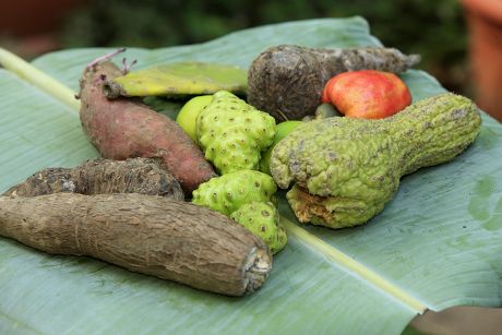 22 Tropical tubers Stock Pictures, Editorial Images and Stock Photos ...