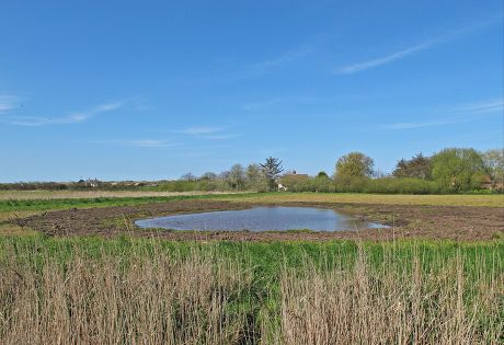 Shallow Water Pool New Wader Scrape Editorial Stock Photo - Stock Image ...