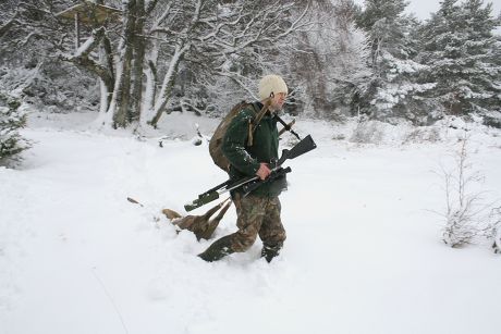 84 Deer stalking Stock Pictures, Editorial Images and Stock Photos ...