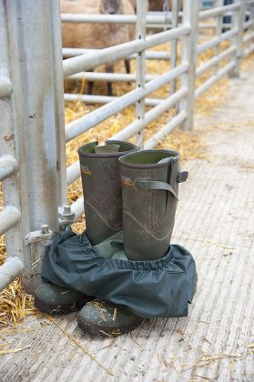 Farmers Wellington Boots Waterproof Trousers Outside Editorial Stock ...