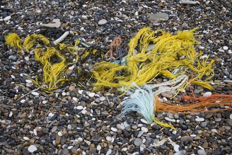 Coloured String Fishing Nets Washed On Editorial Stock Photo - Stock ...