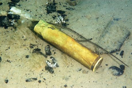 63 Empty shell cases Stock Pictures, Editorial Images and Stock Photos ...