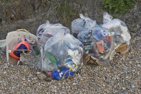 Rubbish Collected Waste Disposal Recycling Beach Editorial Stock Photo ...