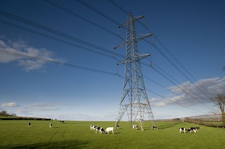 39 Line. powerline Stock Pictures, Editorial Images and Stock Photos ...
