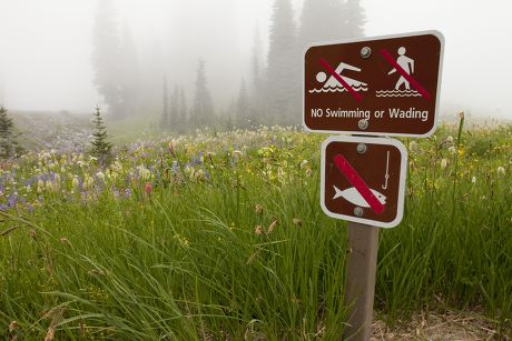 No Swimming Wading No Fishing Signs Editorial Stock Photo - Stock Image ...