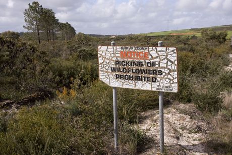 14 Kwongan Stock Pictures, Editorial Images and Stock Photos | Shutterstock
