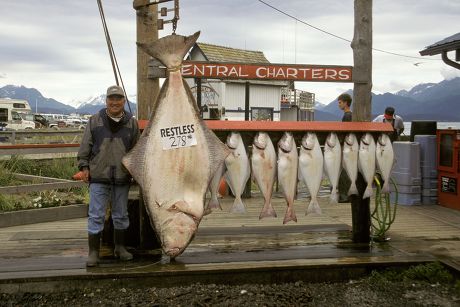 250 Alaskan man Stock Pictures, Editorial Images and Stock Photos ...