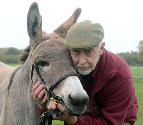 John Mcclaren Pollyanne Donkey Island Farm Editorial Stock Photo ...
