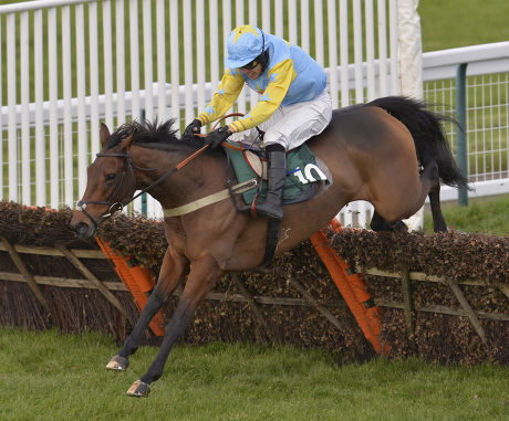 Carhue Princess Felix De Giles Takes Editorial Stock Photo - Stock ...