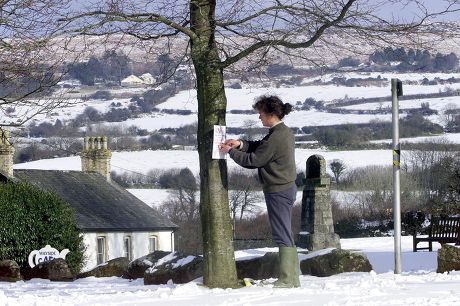 Dartmoor Ranger Farmer Sally Perryman Puts Editorial Stock Photo ...