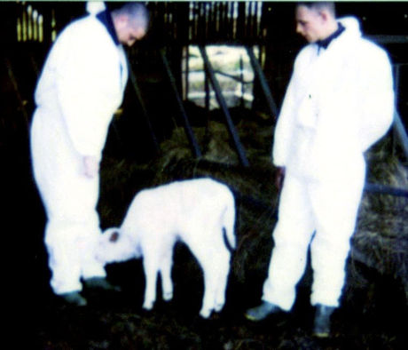 7 Slaughtermen Stock Pictures, Editorial Images and Stock Photos ...
