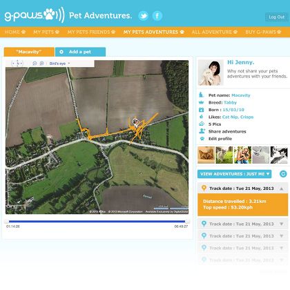 Map Showing Movements Pet Wearing Gpaws Editorial Stock Photo - Stock ...