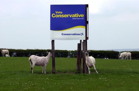 57 Sign for sheep Stock Pictures, Editorial Images and Stock Photos ...