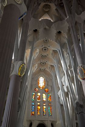 Ceiling Branching Columns Different Heights Designed Editorial Stock ...