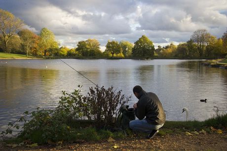 31 Highgate ponds Stock Pictures, Editorial Images and Stock Photos ...