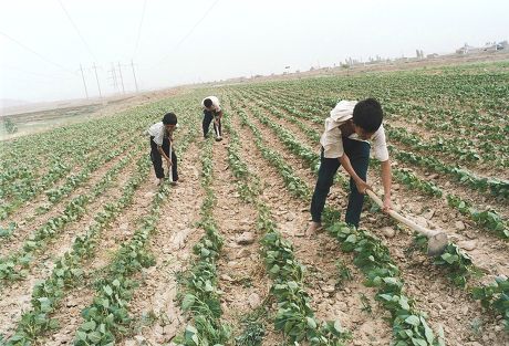 Angren Uzbekistan Editorial Stock Photo - Stock Image | Shutterstock