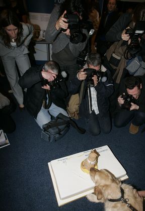 Guide Dog Grant Launch Interactive Exhibition Editorial Stock Photo ...