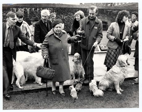 Demonstration 1985 Actress Irene Handl Joins Editorial Stock Photo ...
