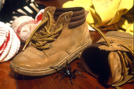 Male Funnelweb Spider Climbs Onto Childs Editorial Stock Photo - Stock ...