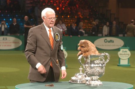 16 Trophies crufts Stock Pictures, Editorial Images and Stock Photos ...
