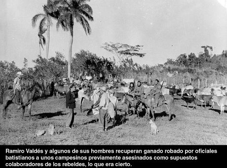 250 1950s livestock Stock Pictures, Editorial Images and Stock Photos ...