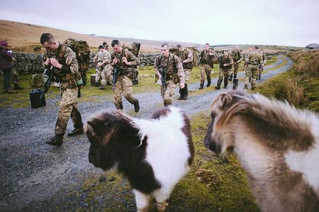 250 British army commandos Stock Pictures, Editorial Images and Stock ...