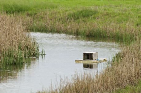 46 Raft floating in water Stock Pictures, Editorial Images and Stock ...