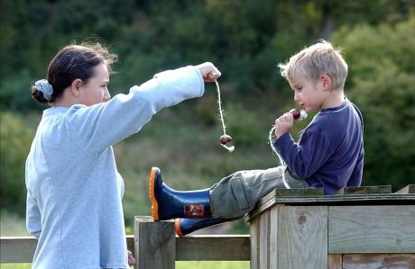 Conkering Westonbirt Arboretum Pix Oliver Wilson Editorial Stock Photo ...