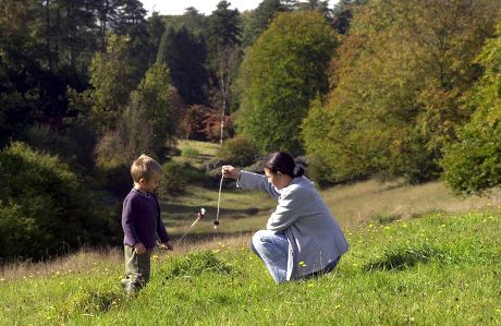 Conkering Westonbirt Arboretum Pix Oliver Wilson Editorial Stock Photo ...