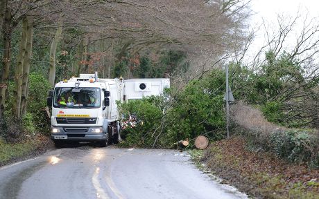 Lorry Trying Pass Fallen Tree On Editorial Stock Photo - Stock Image ...