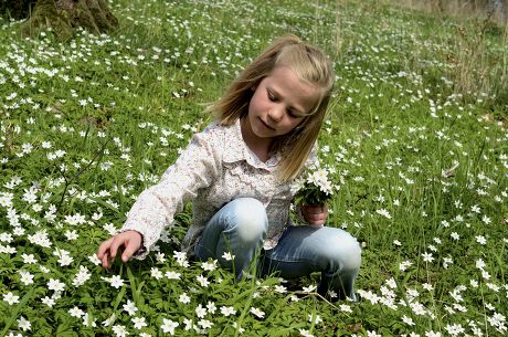 9 Krageholm Stock Pictures, Editorial Images and Stock Photos ...