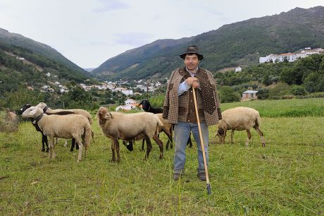91 Stick farming Stock Pictures, Editorial Images and Stock Photos ...
