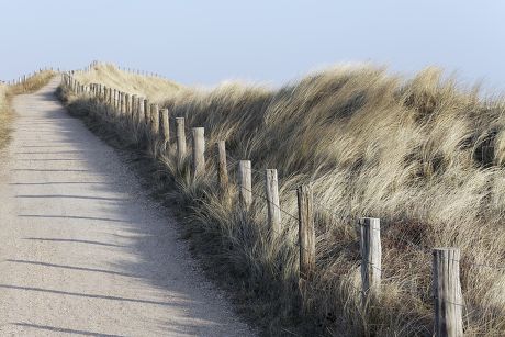 Walkway Through Dunes On North Sea Editorial Stock Photo - Stock Image ...