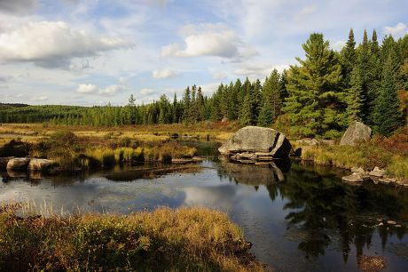 Typical Moorlands Canadian Shield Laurentian Plateau Editorial Stock ...