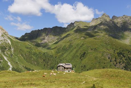 43 Carnic alps Stock Pictures, Editorial Images and Stock Photos ...