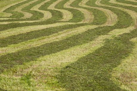 Hayfield Raked Geometric Patterns Editorial Stock Photo - Stock Image ...