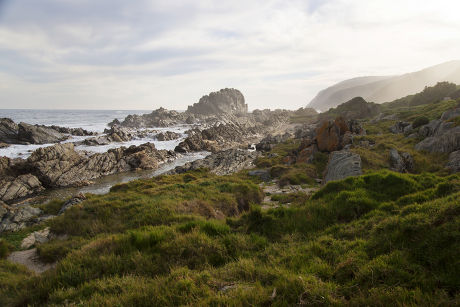 250 Rocky cape national park Stock Pictures, Editorial Images and Stock ...