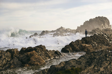 250 Rocky cape national park Stock Pictures, Editorial Images and Stock ...